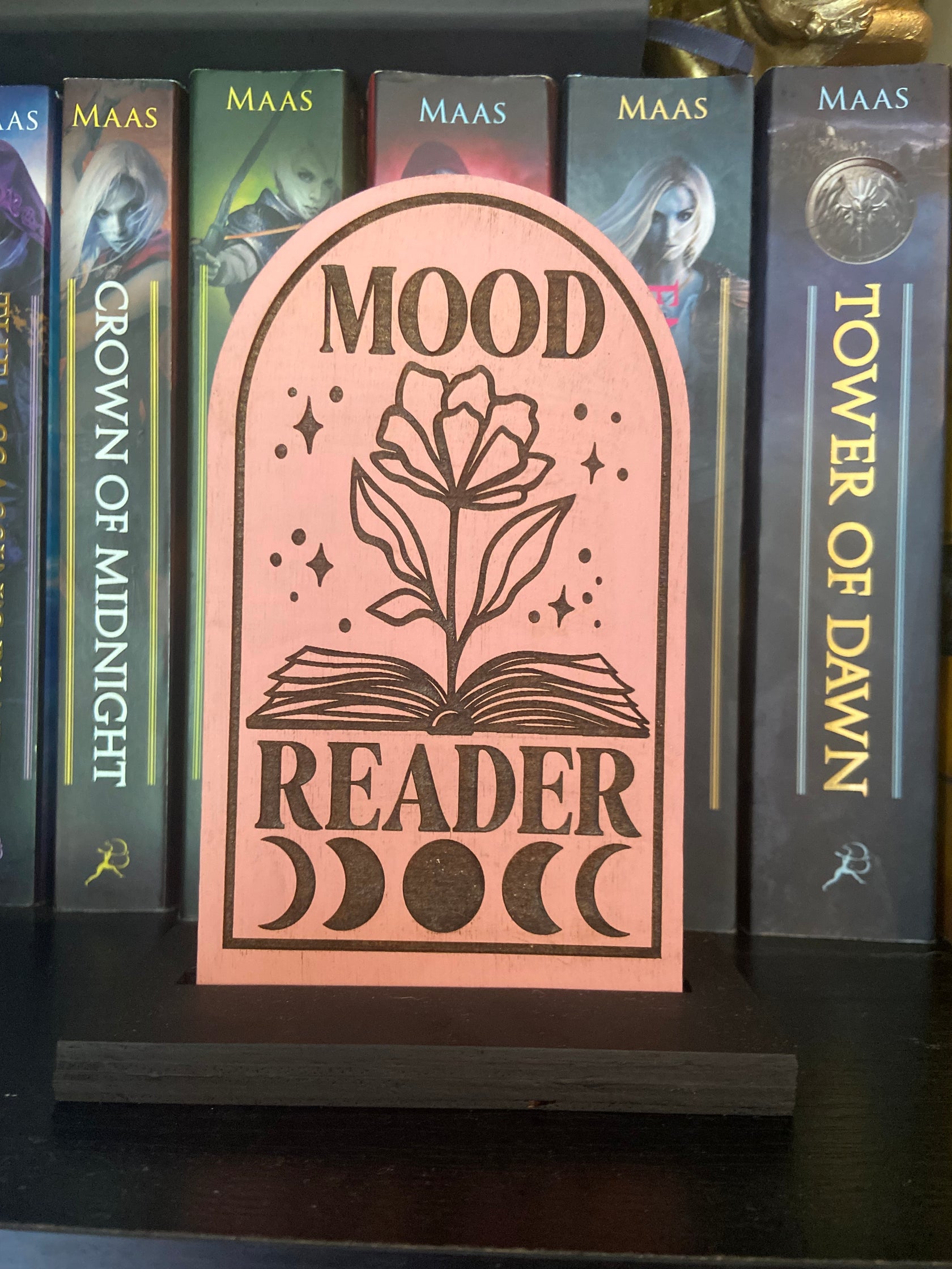 Mood Reader Bookshelf Sign – Weathers World